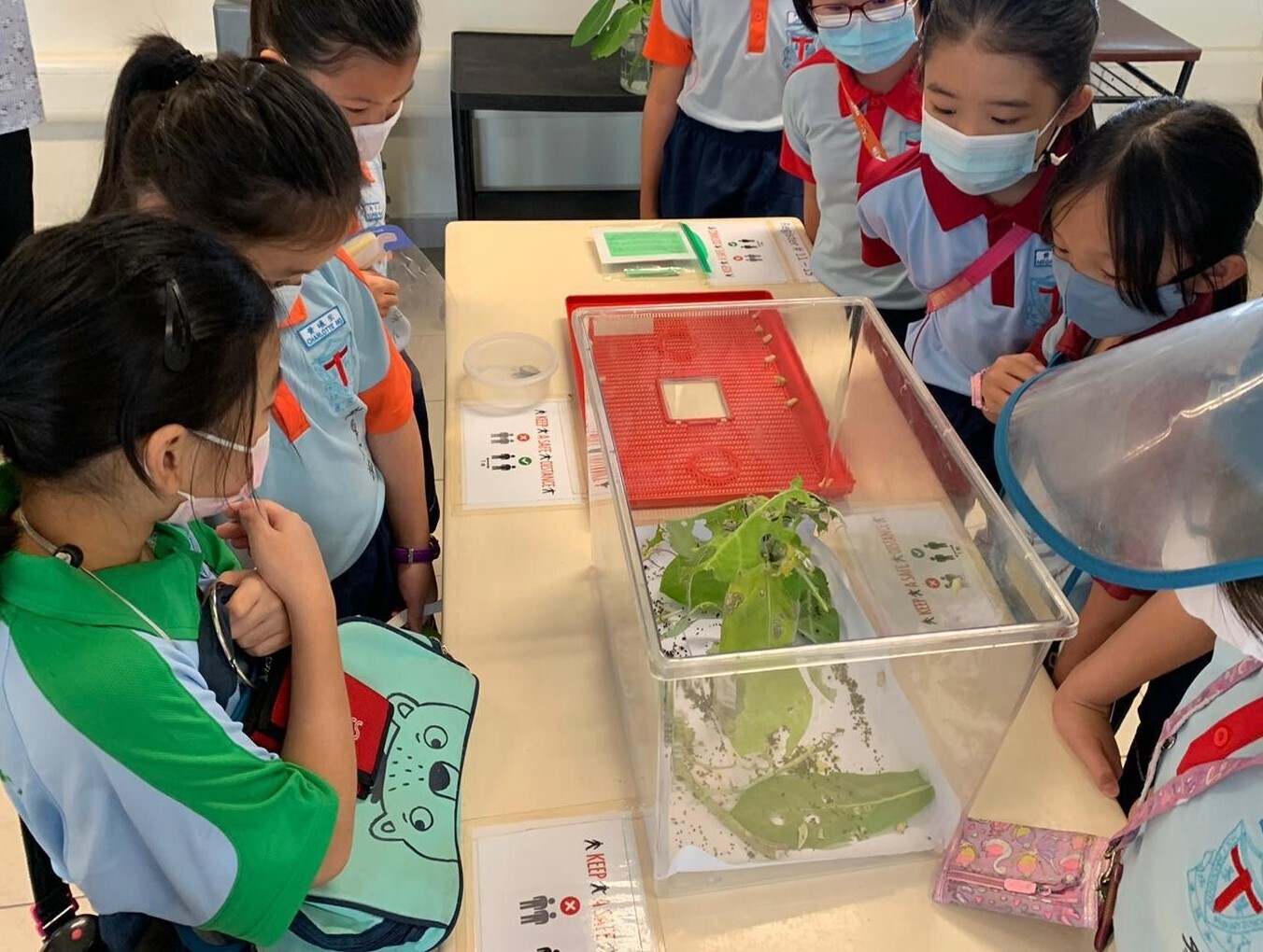 科学部门 Science Department